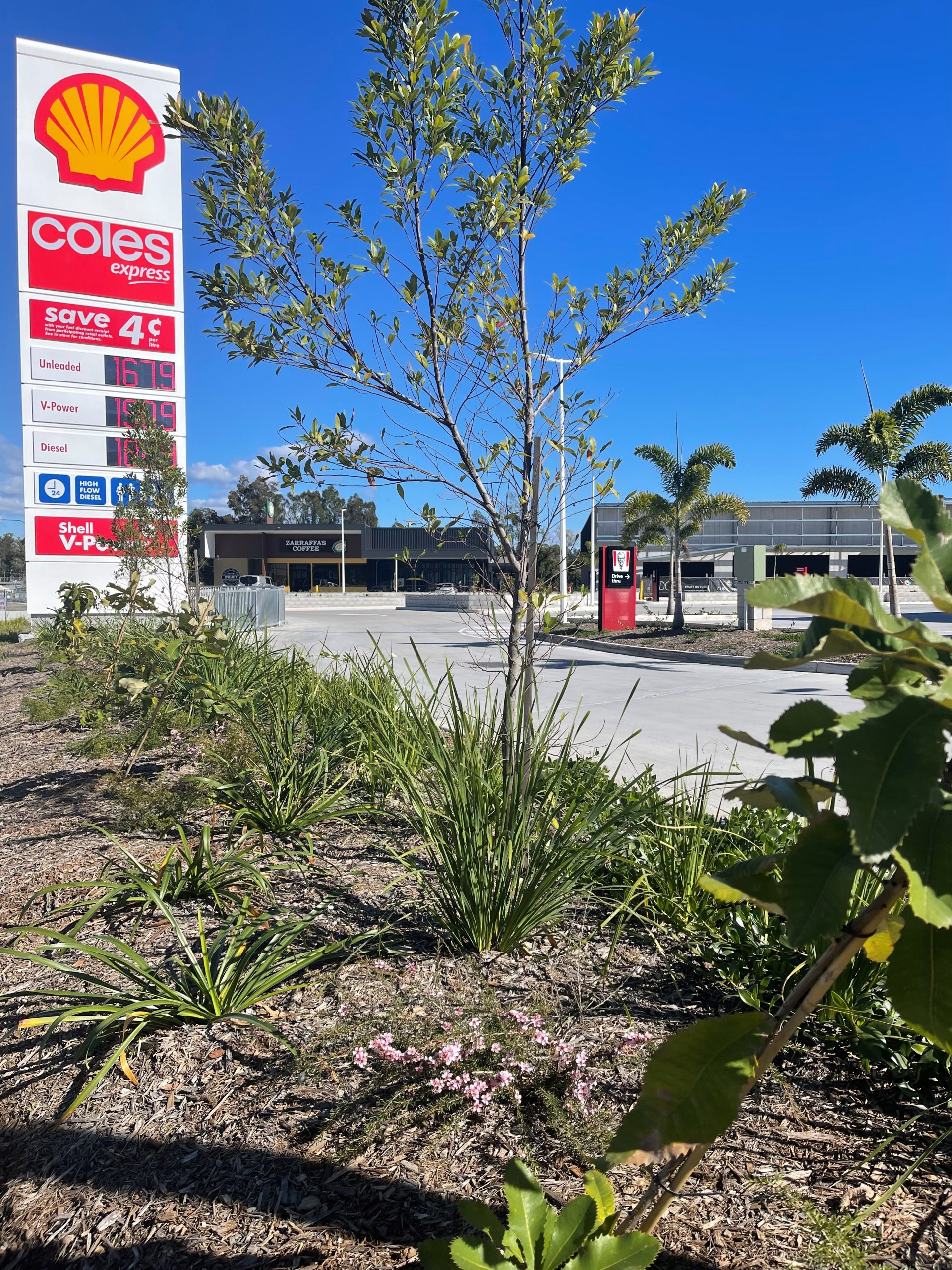 Landscape design approval for new transit hub - Sargeant Planning